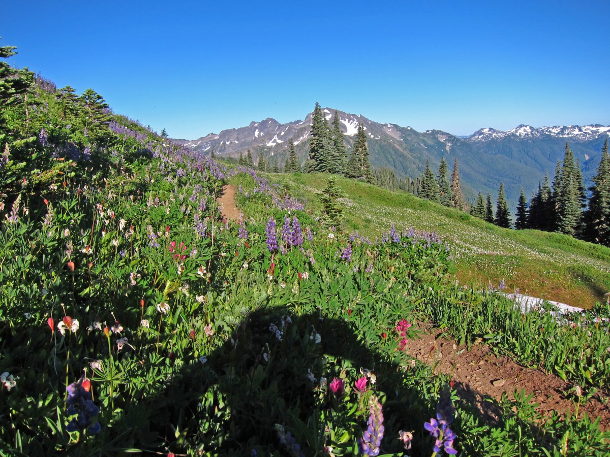 Olympic National Park’s High Divide-Seven Lakes Basin – Untrammeled ...